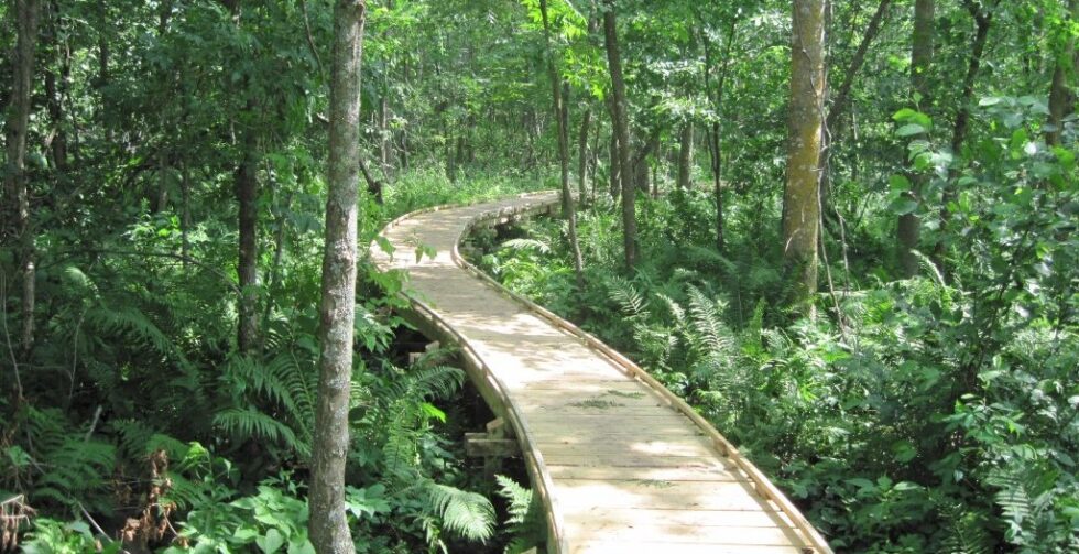 Trails - Friends of Wisconsin Interstate Park and Straight Lake State Park